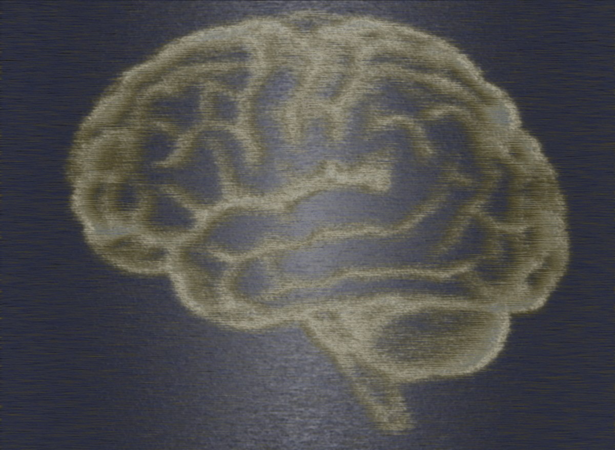 Must Our Brains Deteriorate as We Age?